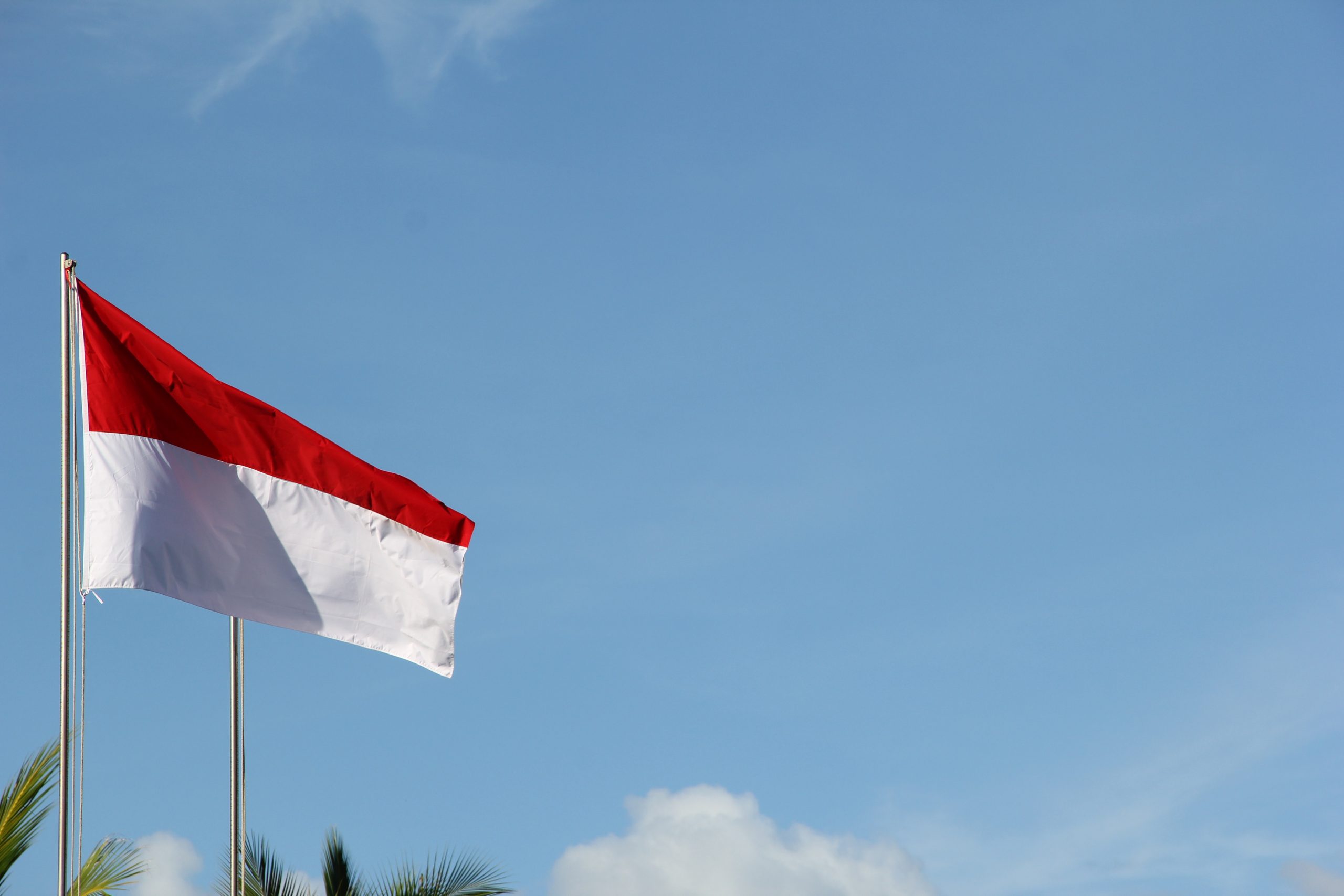 Indonesia: With ‘Soft Power’ Comes Great Responsibility – Ruderman ...